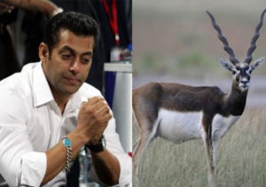 Lawrence Bishnoi Biography, Age, Wife, Net Worth - Matlabi News