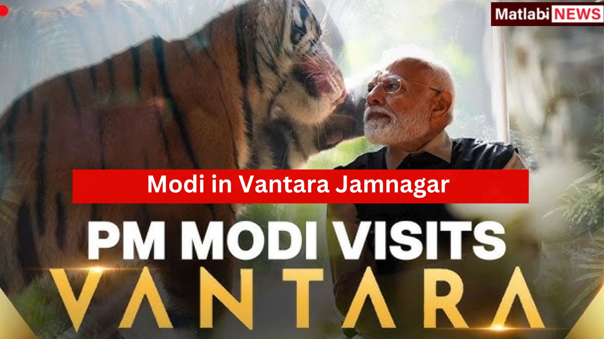PM Narendra Modi in Vantara Jamnagar and Saw the Beauty Of Vantara in ...